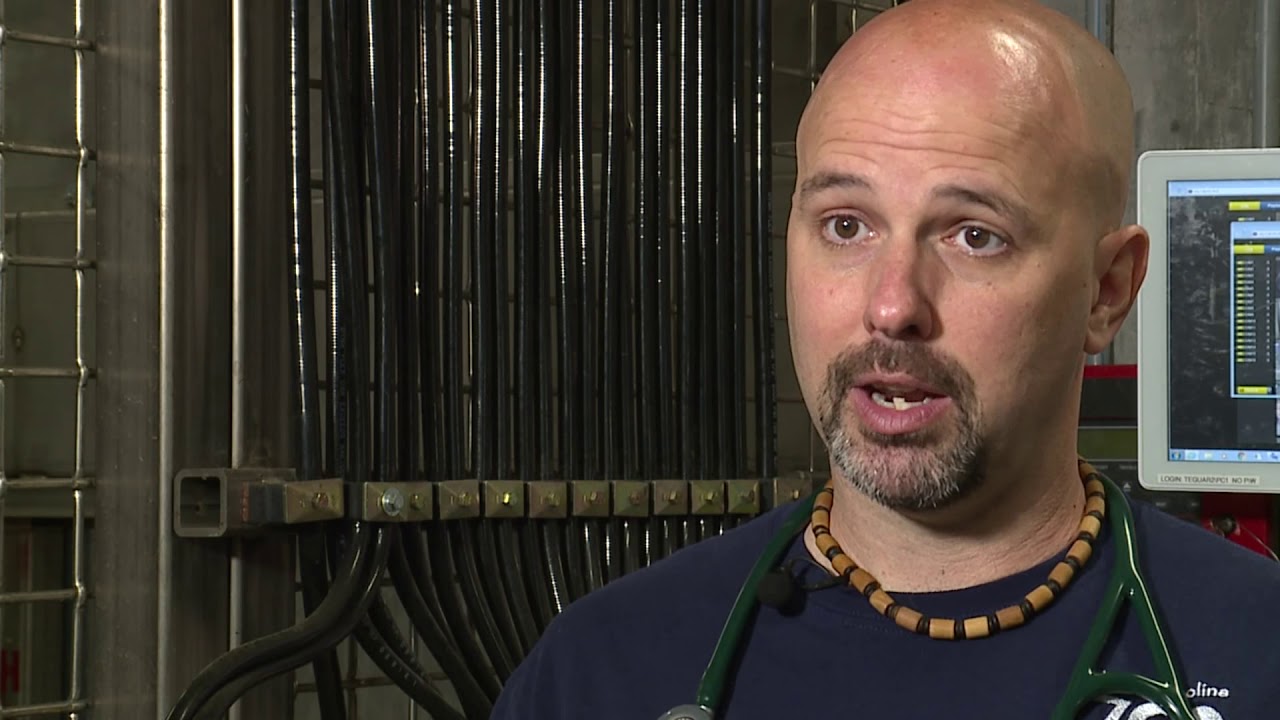 Inside a polar bear examination