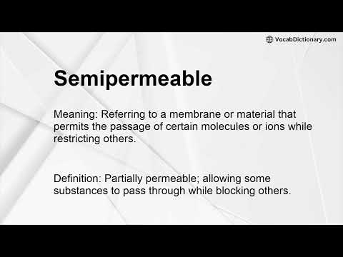Semipermeable Meaning