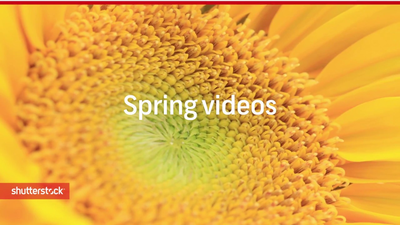 Spring 2018 | Shutterstock