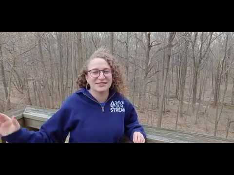 Intermittent and Ephemeral Streams: What's in a name?