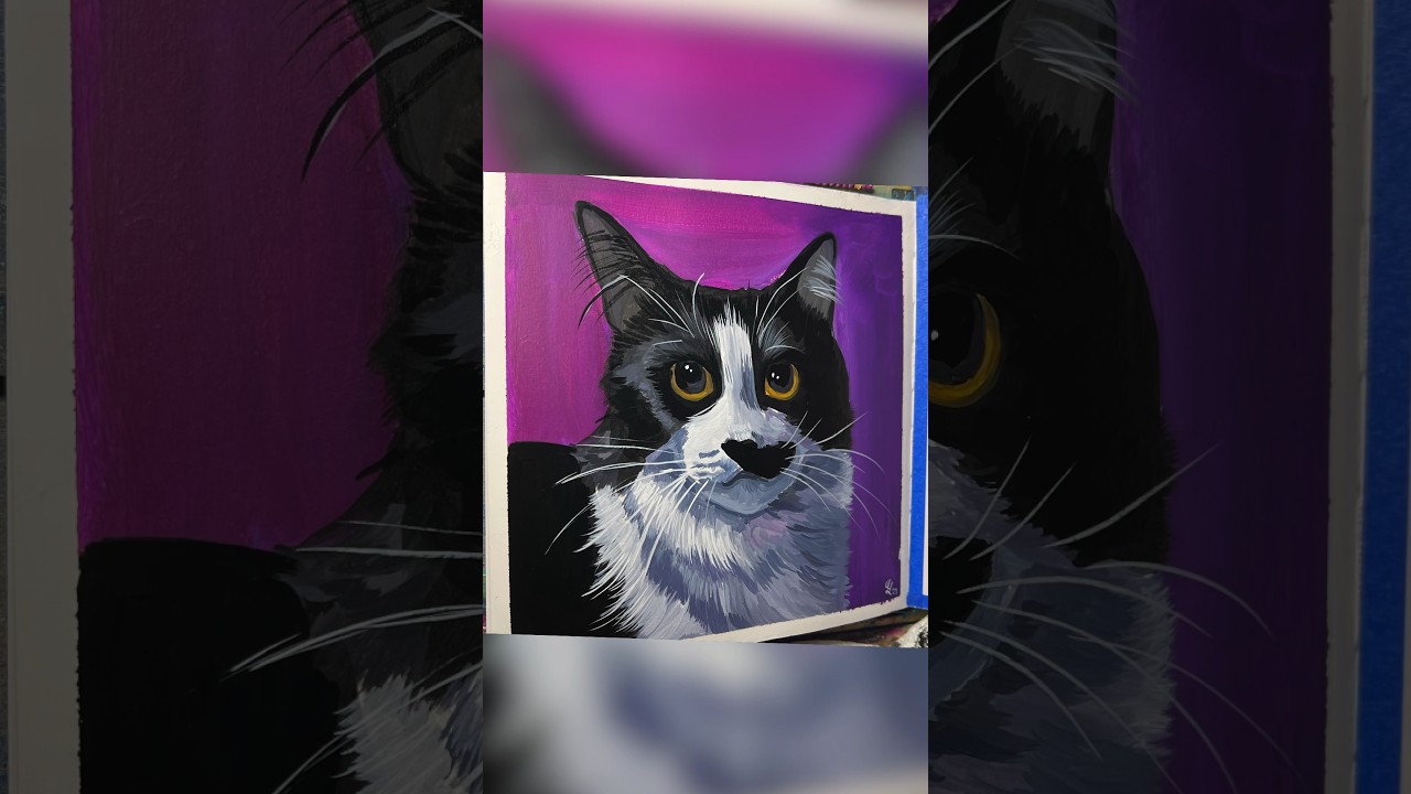 Pistachio - page 2 of the tuxedo sketchbook