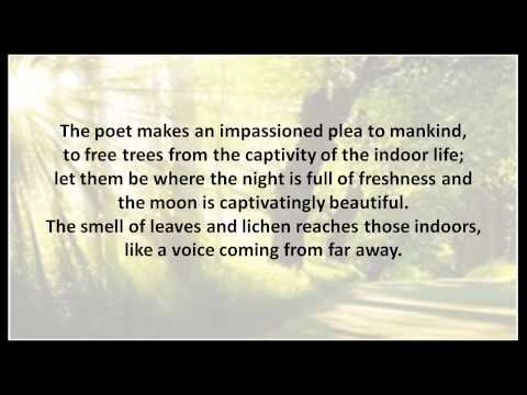 Summary: The Trees Video Lecture - Class 10