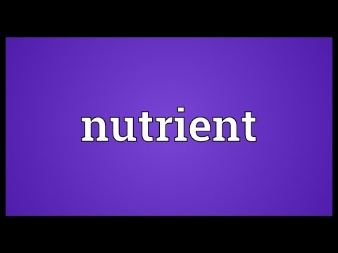 Nutrient Meaning