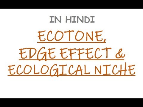 What is Ecotone, Edge Effect & Ecological Niche ? (In Hindi)