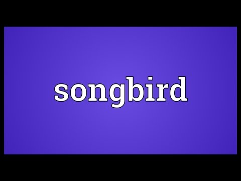 Songbird Meaning