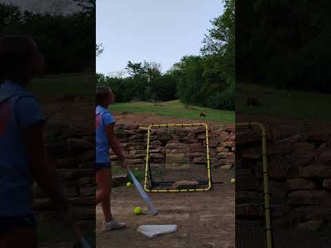 Waylon John (Golden Retriever)gets plunked!!