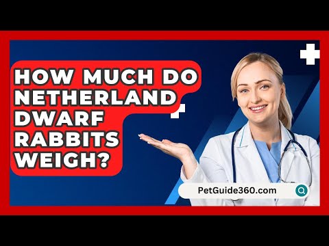 How Much Do Rabbits Weigh - Rich- Farmer