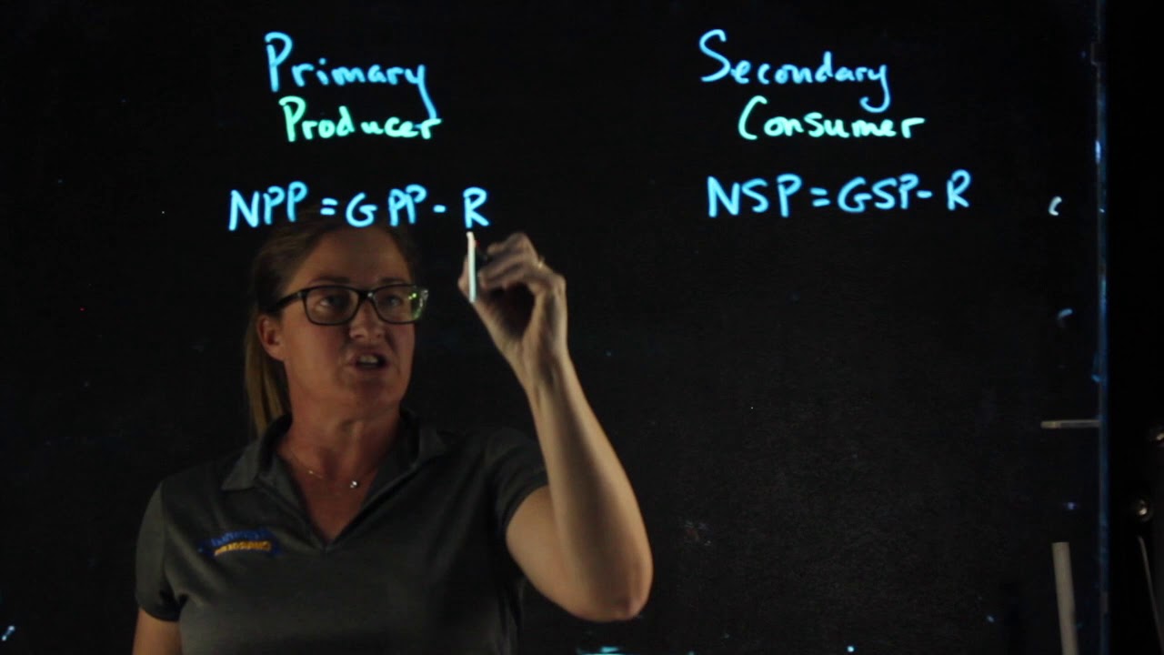 Primary and Secondary Prod