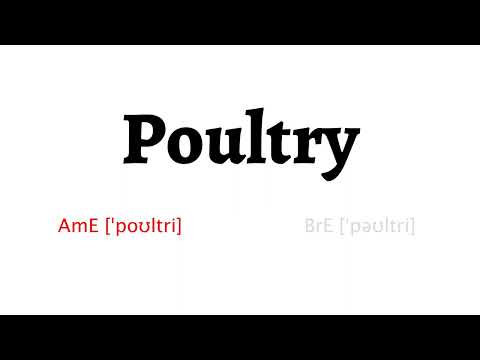 How to Pronounce poultry in American English and British English