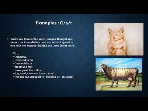 7 Types of Meaning According to Leech ~ Denotative Meaning and Connotative Meaning