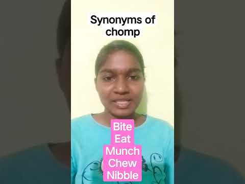 synonyms of chomp #chompsynonym #chompsynonyms #synonymsofchomp