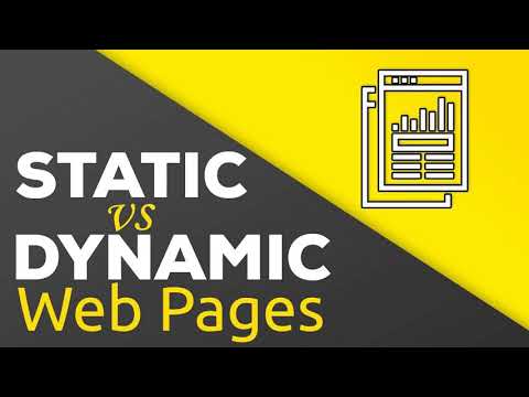 Static Website vs Dynamic Website: What’s the Difference?