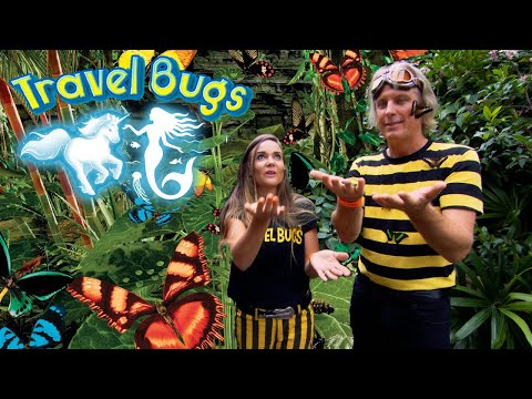 Fun for kids! Find INCREDIBLE mythical creatures, unicorns, dragons, mermaids & giant butterflies.