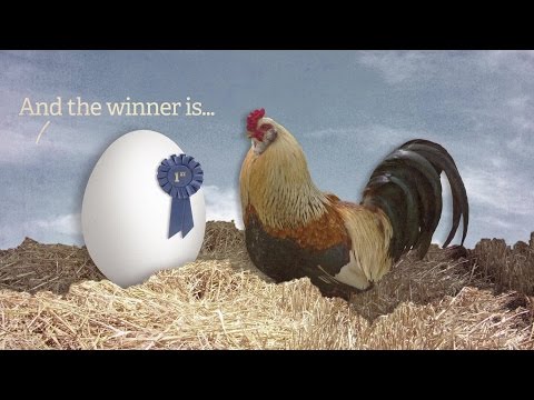 Ask Us Anything: Which Came First, The Chicken Or The Egg?