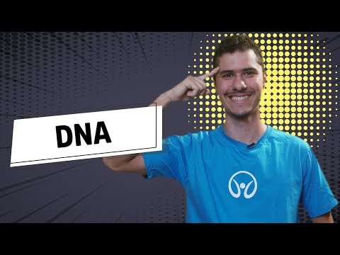 DNA | Ácidos Nucleicos - Brasil Escola