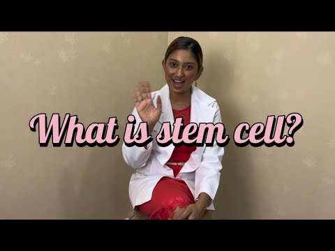 What is stem cells? What are the different types of stem cells ?