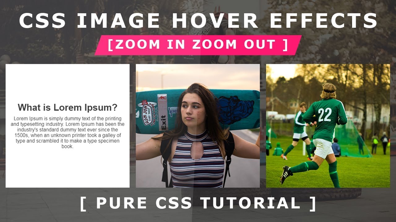 Css Image Hover Effects - How To Create Image Hover Overlay Effects - Zoom in Zoom Out Image