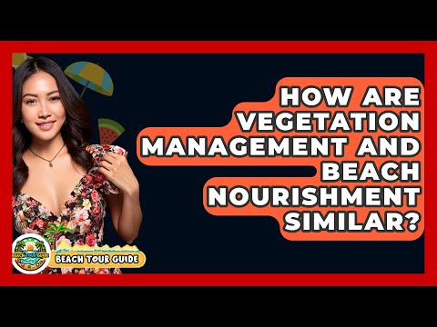How Are Vegetation Management And Beach Nourishment Similar? - Beach Tour Guide