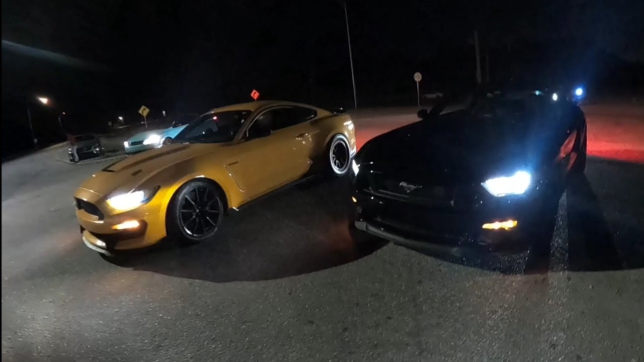 Supercharged Shelby GT350 Races ProCharged Mustang GT, Savage Beatdown ...
