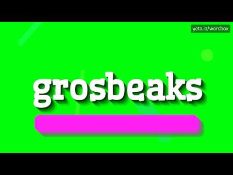 GROSBEAKS - HOW TO PRONOUNCE IT!?