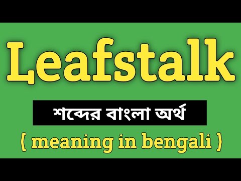 Leafstalk Meaning in Bengali || Leaf-stalk শব্দের বাংলা অর্থ কি? || Word Meaning Of Leafstalk