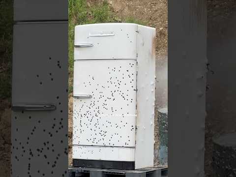 M134 Mini Gun vs Refrigerator!
