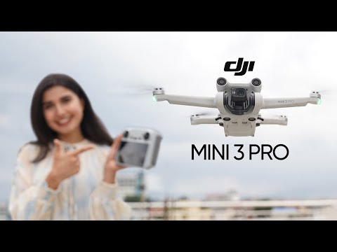 DJI Mini 3 Pro Review: This Budget Drone is for EVERYONE!