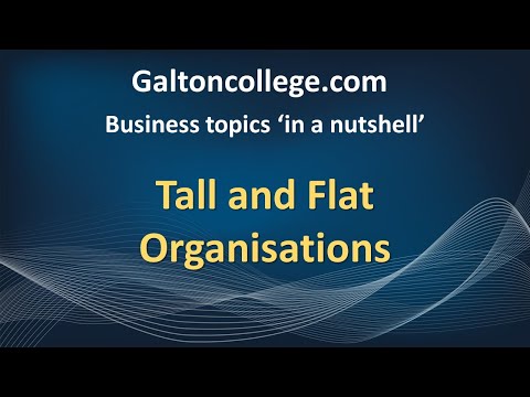 Tall and Flat Organisations