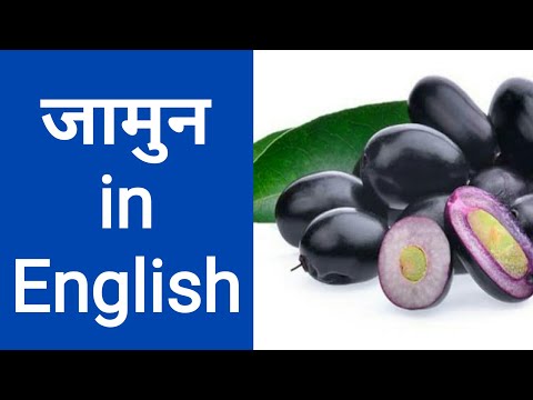 Jamun in English | जामुन को इंग्लिश में क्या कहते हैं | Shabdkosh Dictionary