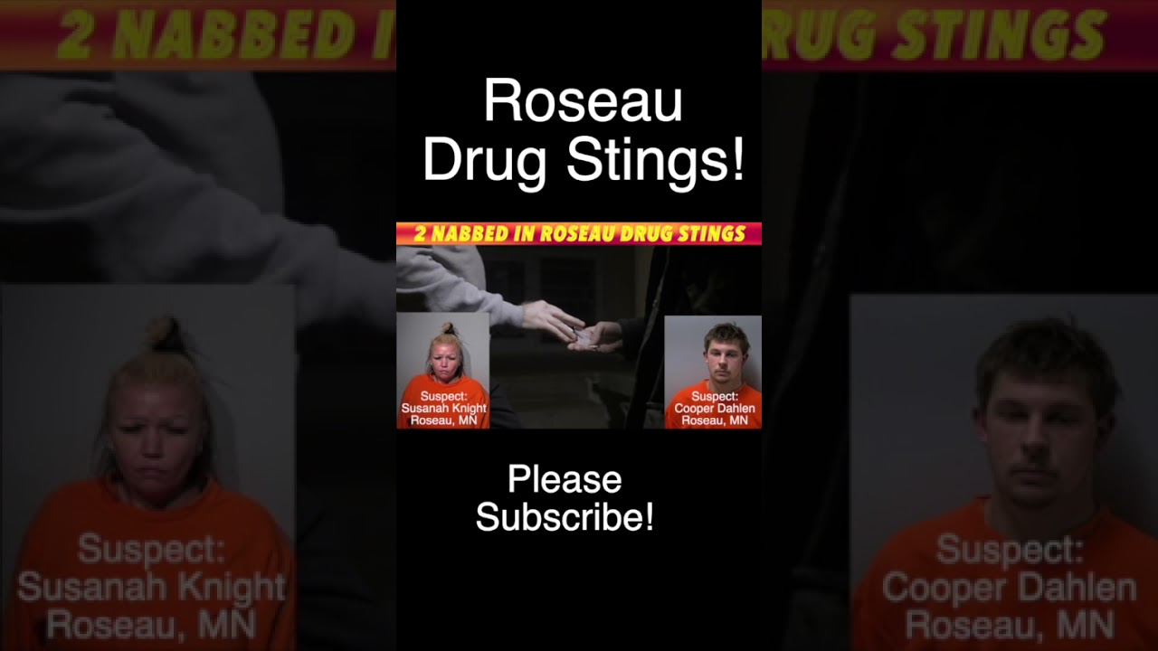 Two Nabbed In Roseau County, MN Drug Sting Operations