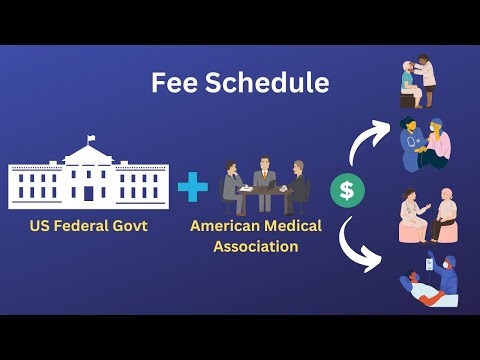 What is Fee Schedule Allowed Amount/Approved Amount