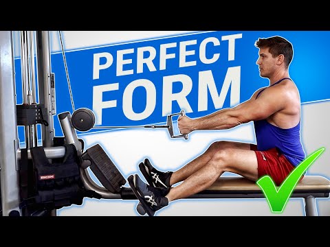 How To: Seated Cable Low-Row || PERFECT FORM