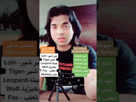 جانوروں کے نام اردو اور انگلش میں | animals name in arabic