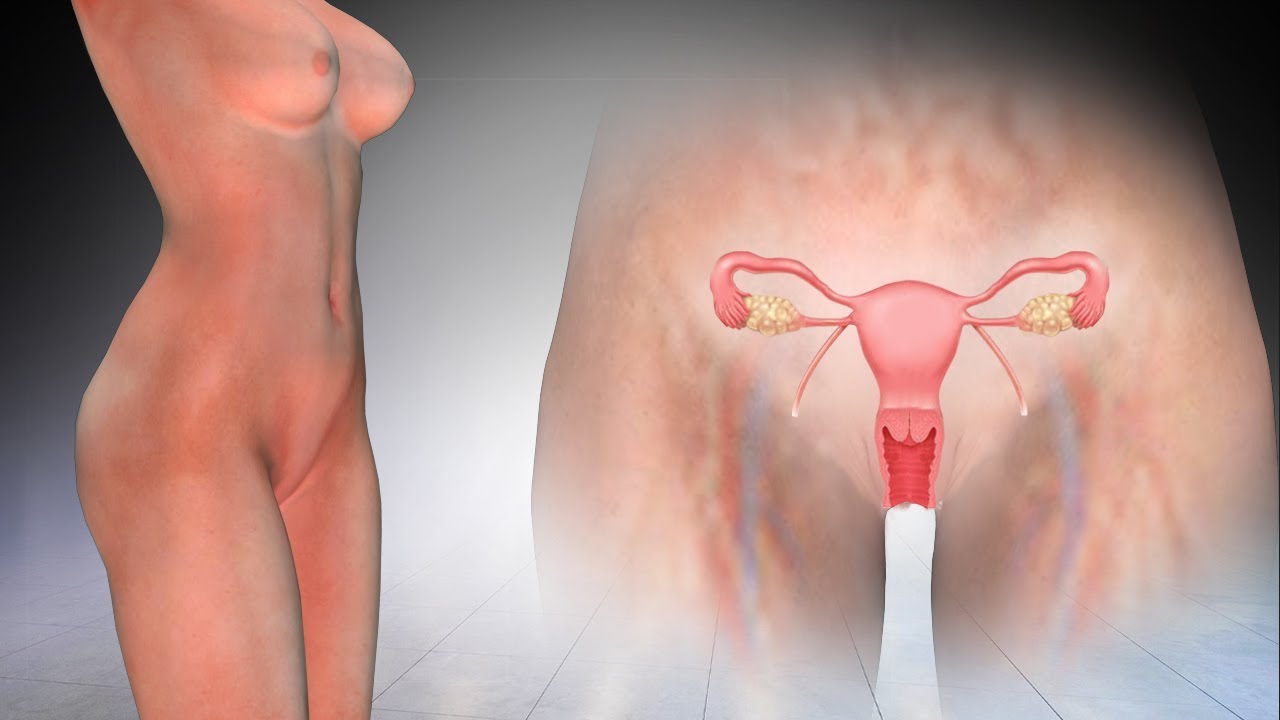 Human Reproductive System & Childbirth- Informative 3D Animation for Everyone