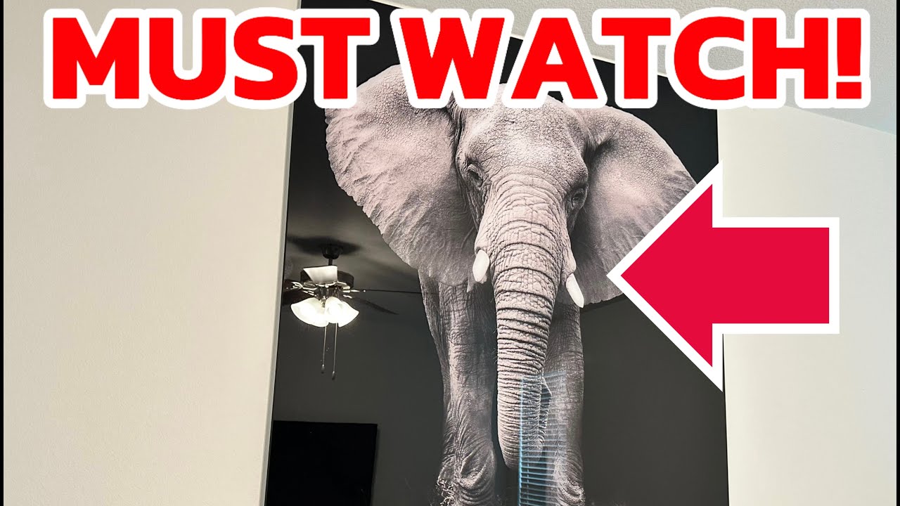 Large Black and White Canvas Wall Art, Elephant Pictures Wall Decor for Home (My Honest Review)