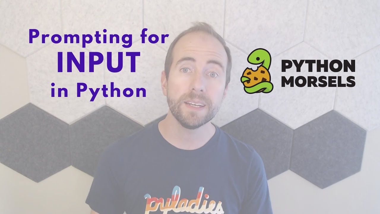 Prompting a user for input in Python
