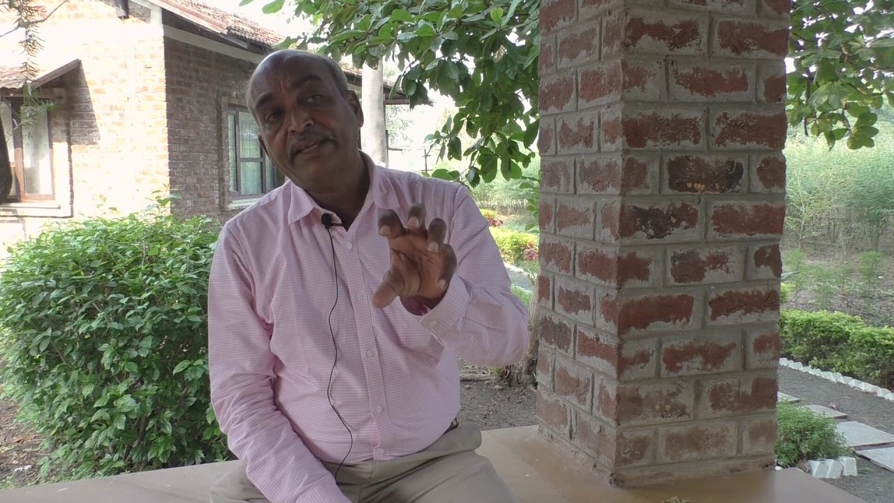 Seed research programm: IT ALL BEGINS WITH SEEDS