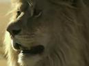 Super Bowl Commercial "Carne Asada"