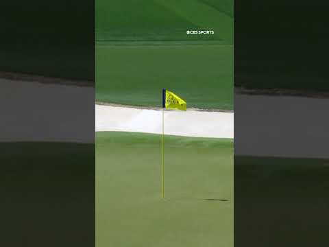 Scottie Scheffler with a NEAR ACE #shorts #pga #pgachampionship