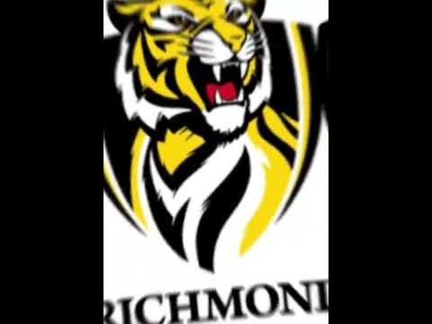 All the afl logos🐯