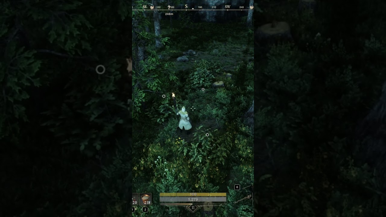 Stamina Management MUST! New World Aeternum HUD settings to show Vitals Values
