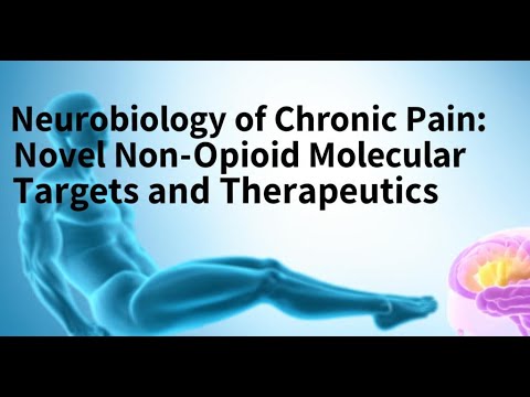 Neurobiology of Chronic Pain: Novel Non-Opioid Molecular Targets and Therapeutics