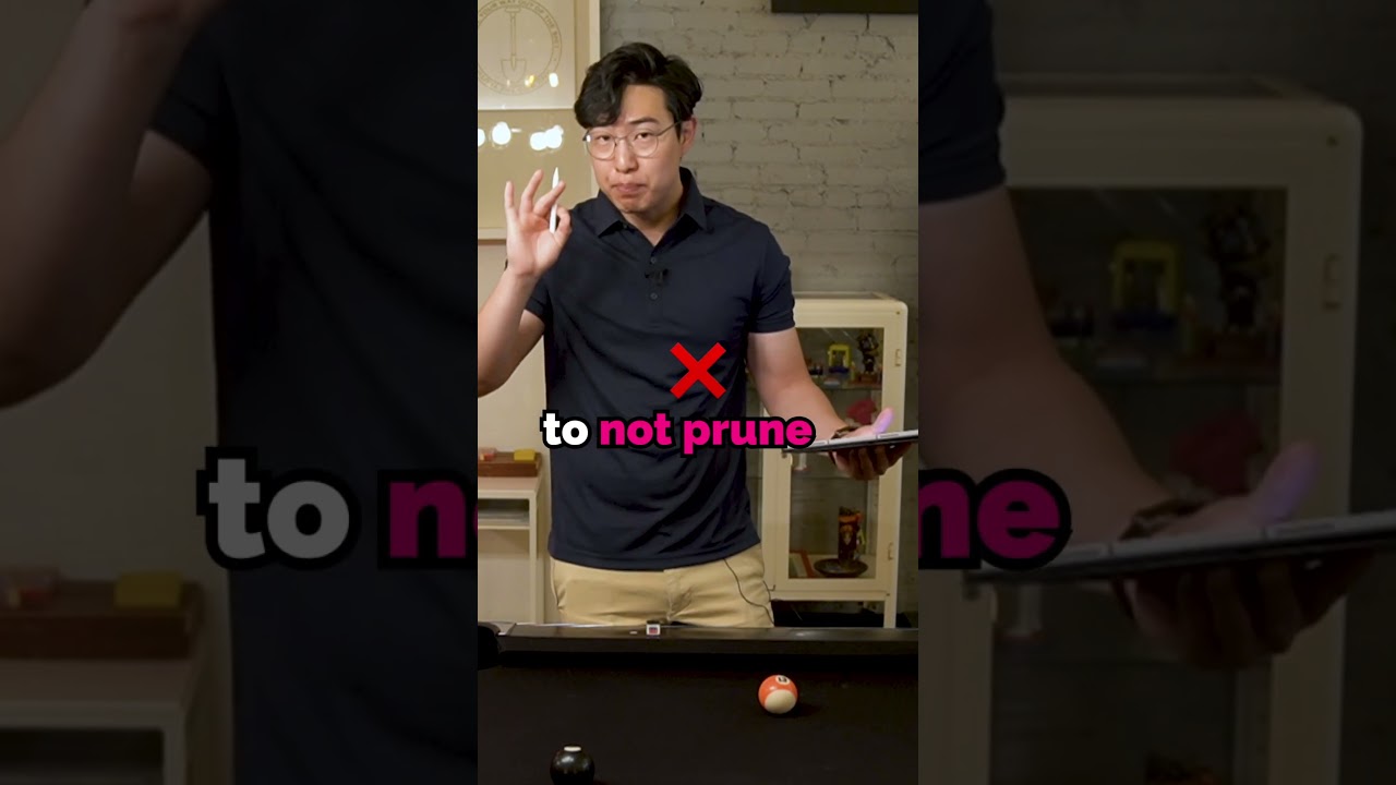 The trick to remembering everything you study