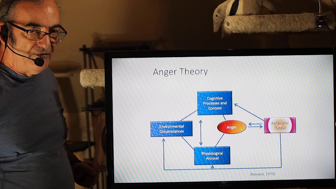 Psych 2367   5 1   Measuring Anger and Provocation   Novaco
