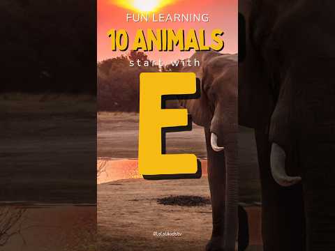 10 Fun Animals Starting with 'E'! #animalshorts #lalalikidstv #kidsanimals