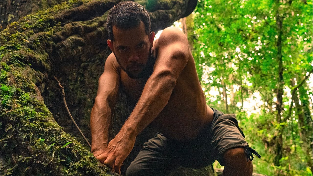 Exploring Gorilla Training: A Journey Through Nature and Movement ...
