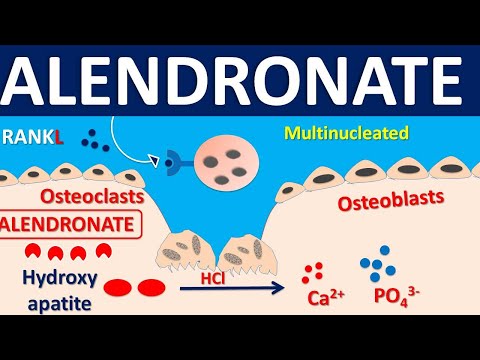 Alendronate for osteoporosis - Mechanism, side effects, precautions & uses