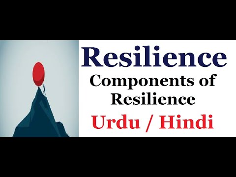 Resilience: Key Components of Resilience. Urdu / Hindi