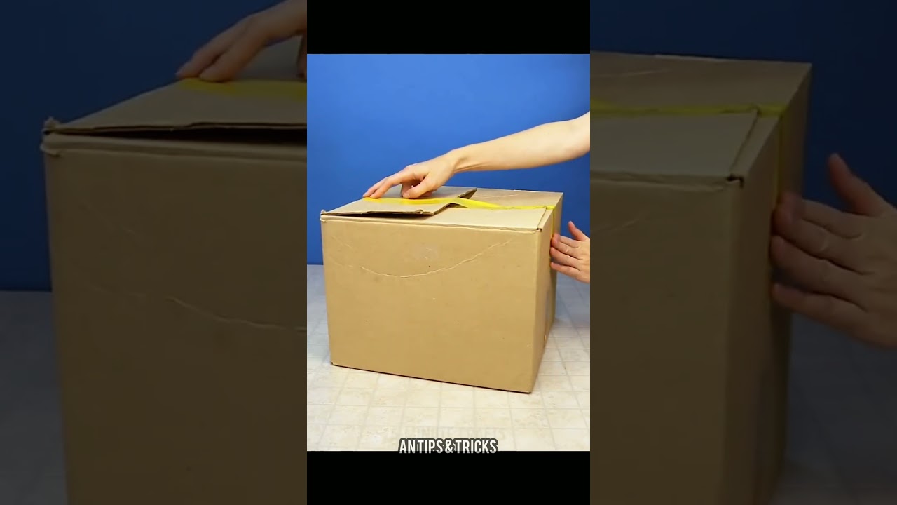 Genius Ways to Reuse Old Cardboard Boxes #shorts