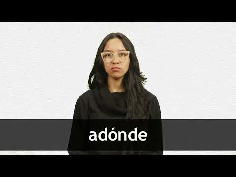 English Translation of “ADÓNDE” | Collins Spanish-English Dictionary